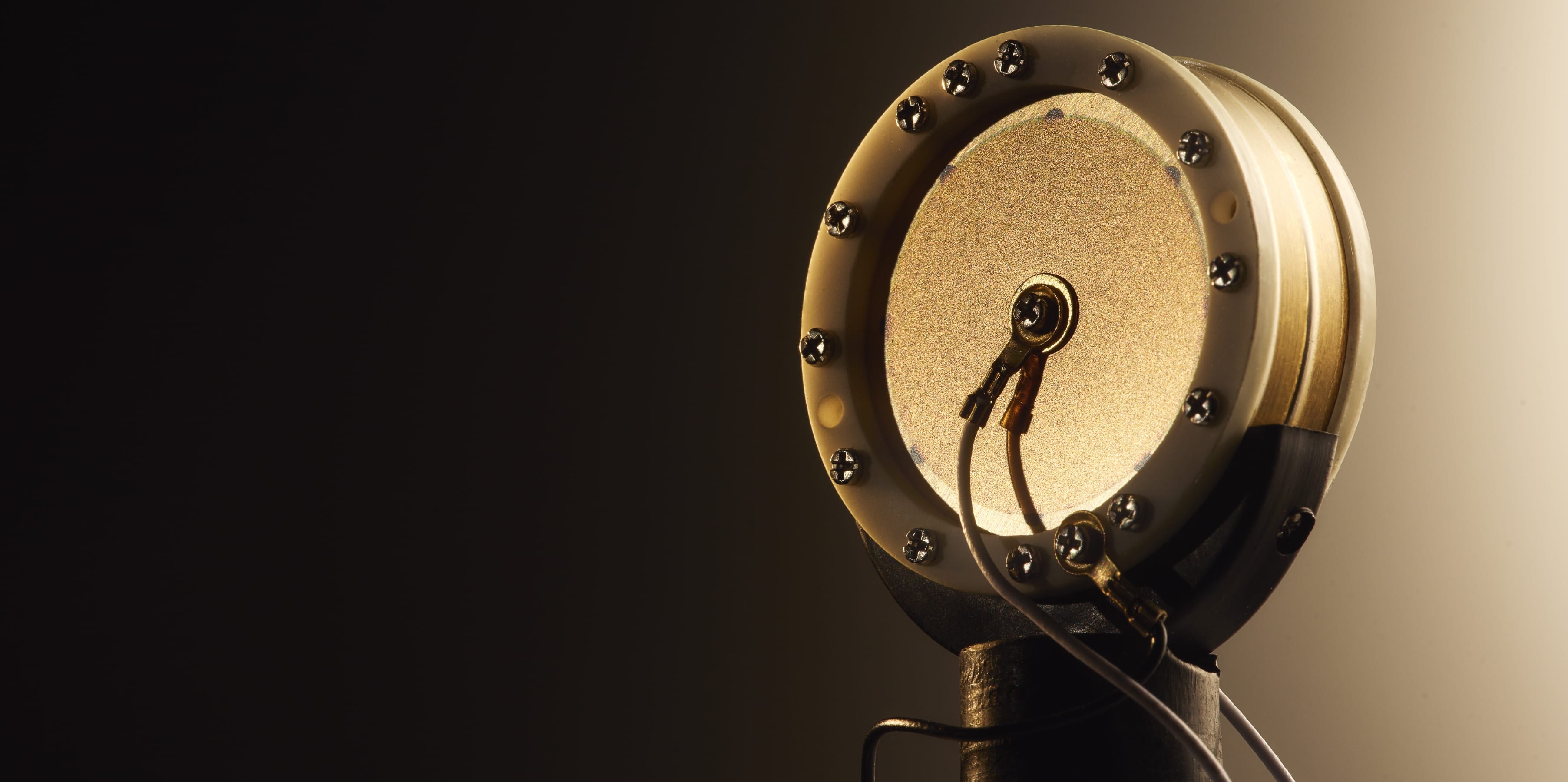 UA SPHERE LX MODELING MICROPHONE – Dream Audio